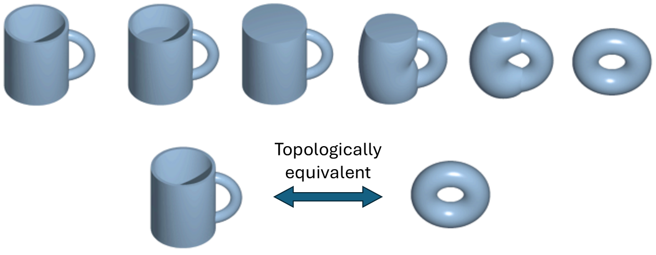 An introduction to Skyrmions - Florisera