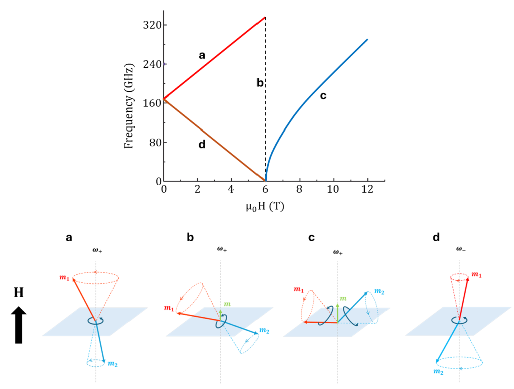 Antiferromagnetic Spin Configuration - Hematite - Florisera